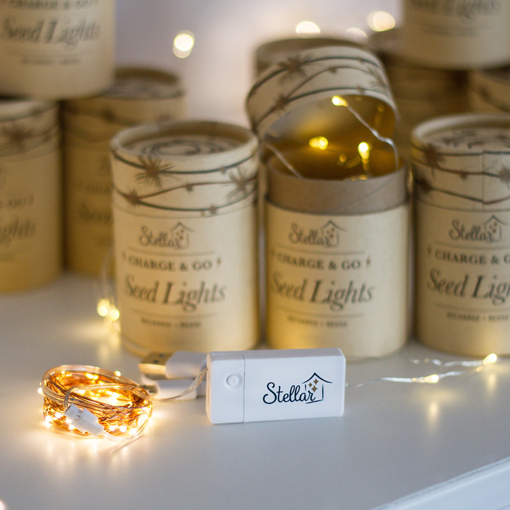 Charge & Go 3m Copper Wire Seed Lights